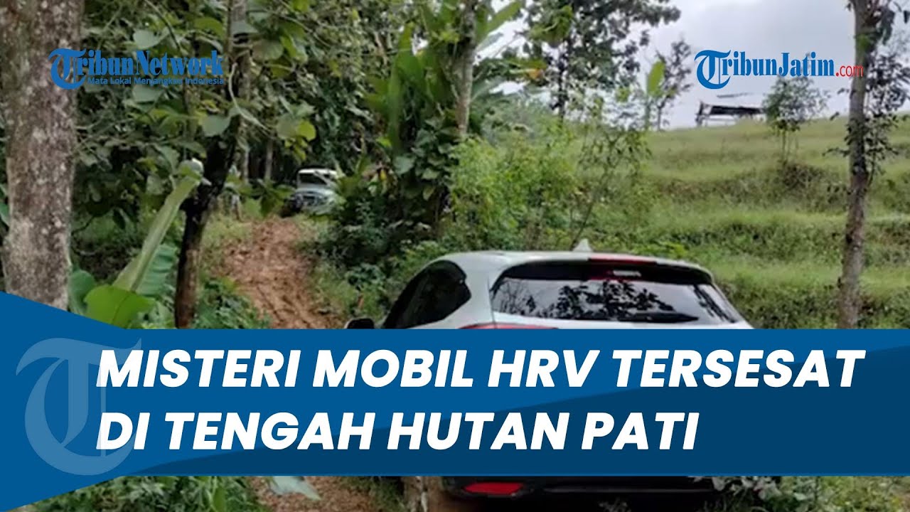 MISTERI Sebuah Mobil HRV Tersesat di Hutan Tambakromo Pati, Ikuti GPS ...