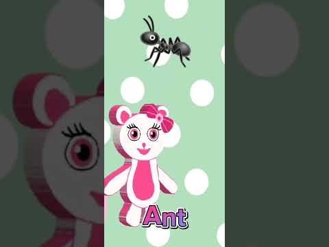 Learn with me words that start with "A" |} Molly and Kiko #alphabet #cartoon #kids #mollyandkiko