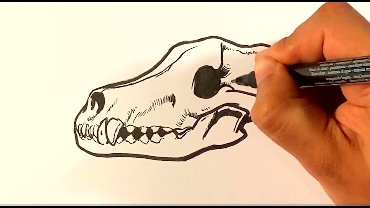 How to Draw COOL  Wolf Skull Drawing - Draw Tattoo Art - Drawing Step by Step for Beginners