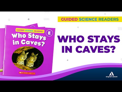Bộ truyện E: Lesson 5 - Who Stays in Caves?