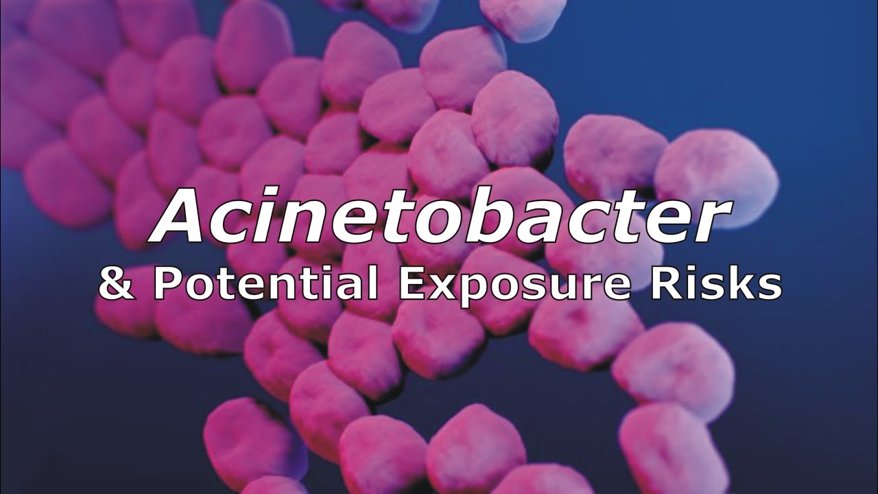 Acinetobacter and Potential Exposure Risks