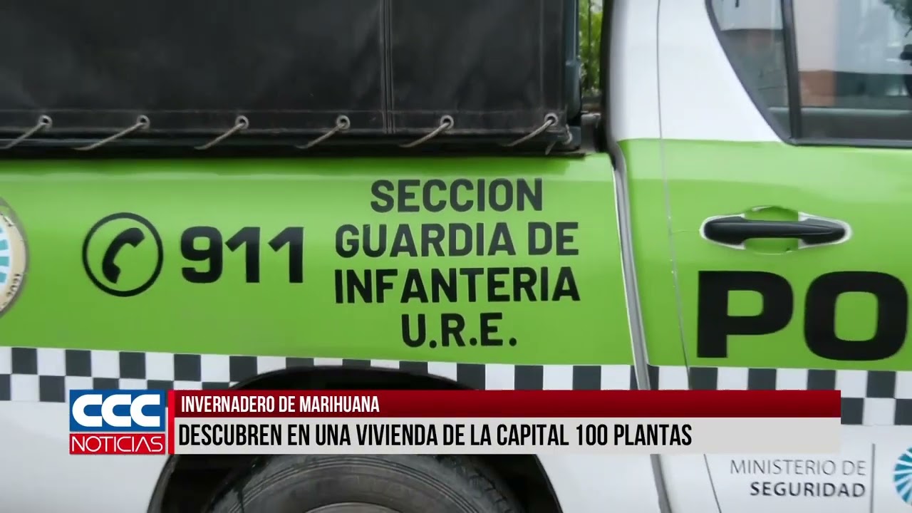 08 Descubren un invernadero de marihuana en una vivienda de la Capital