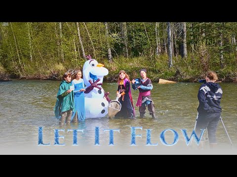 Let It Flow (Stream Ecology Parody of "Let It Go")