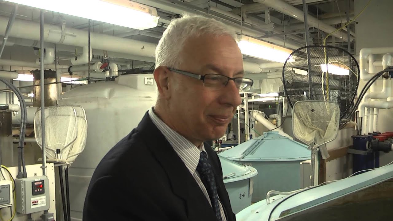 Tour of the IMET's ARC