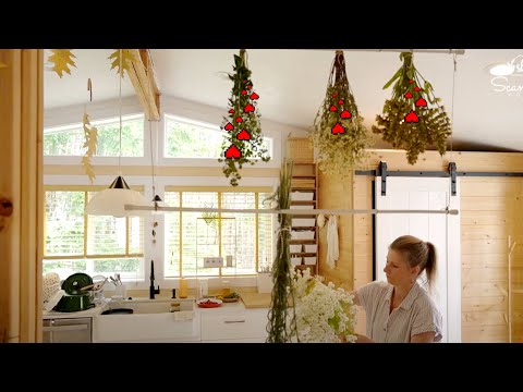FAVORITE GROCERY STORES AND ITEMS, homemaking in the summer, Scandish home