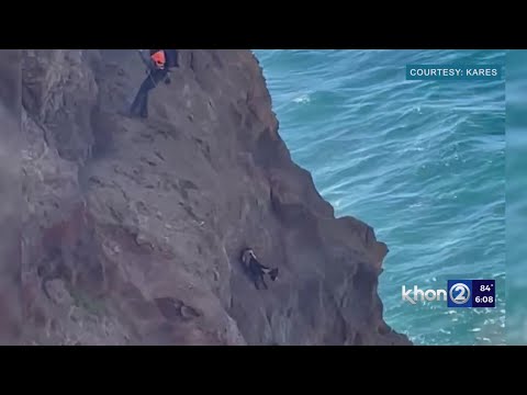 Climbers Finally Rescue A Goat Trapped On A Cliff For A Week - Mix 103.1