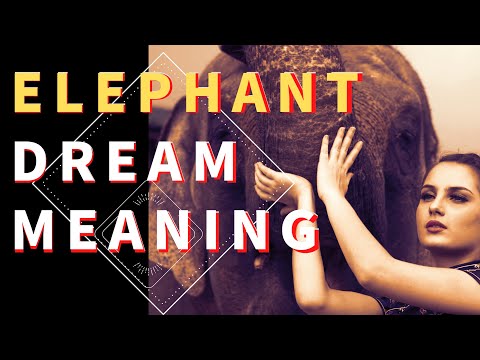 Dream About Elephant 【Unlocking the Mystery】 Dream Meaning and Interpretation