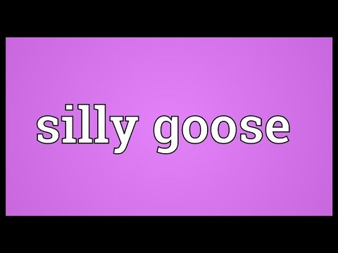 Silly goose Meaning