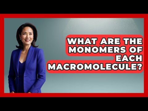 What Are The Monomers Of Each Macromolecule? - Biology For Everyone