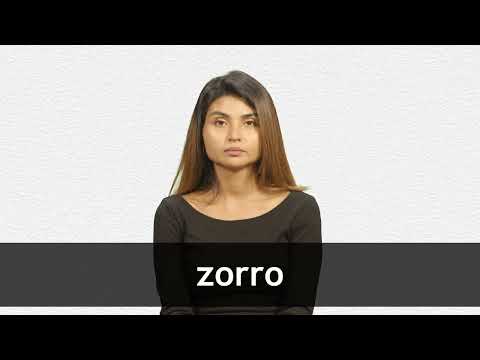 English Translation of “ZORRO” | Collins Spanish-English Dictionary