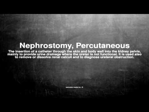 Medical vocabulary: What does Nephrostomy, Percutaneous mean