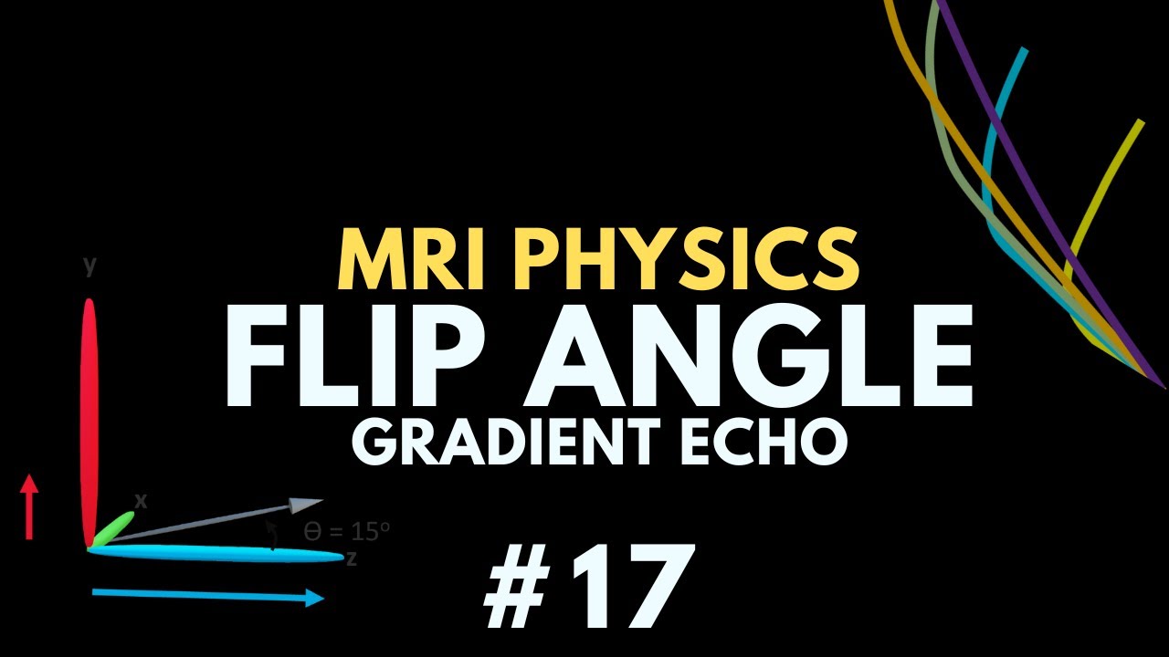 Understanding Flip Angles and Ernst Angle in Gradient Echo MRI | Galaxy.ai