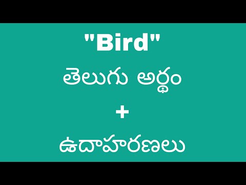 Bird meaning in telugu with examples | Bird తెలుగు లో అర్థం @Meaning in Telugu