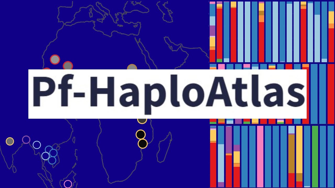 Pf-HaploAtlas Demo - Learn to analyse malaria parasite genomes