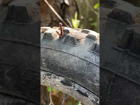 TUBELESS Reifen Panne mit SALAMI geflickt!