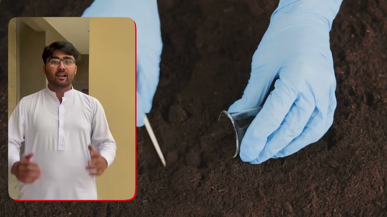 AI-Based Analysis of Soil Properties for Crop Yield Prediction