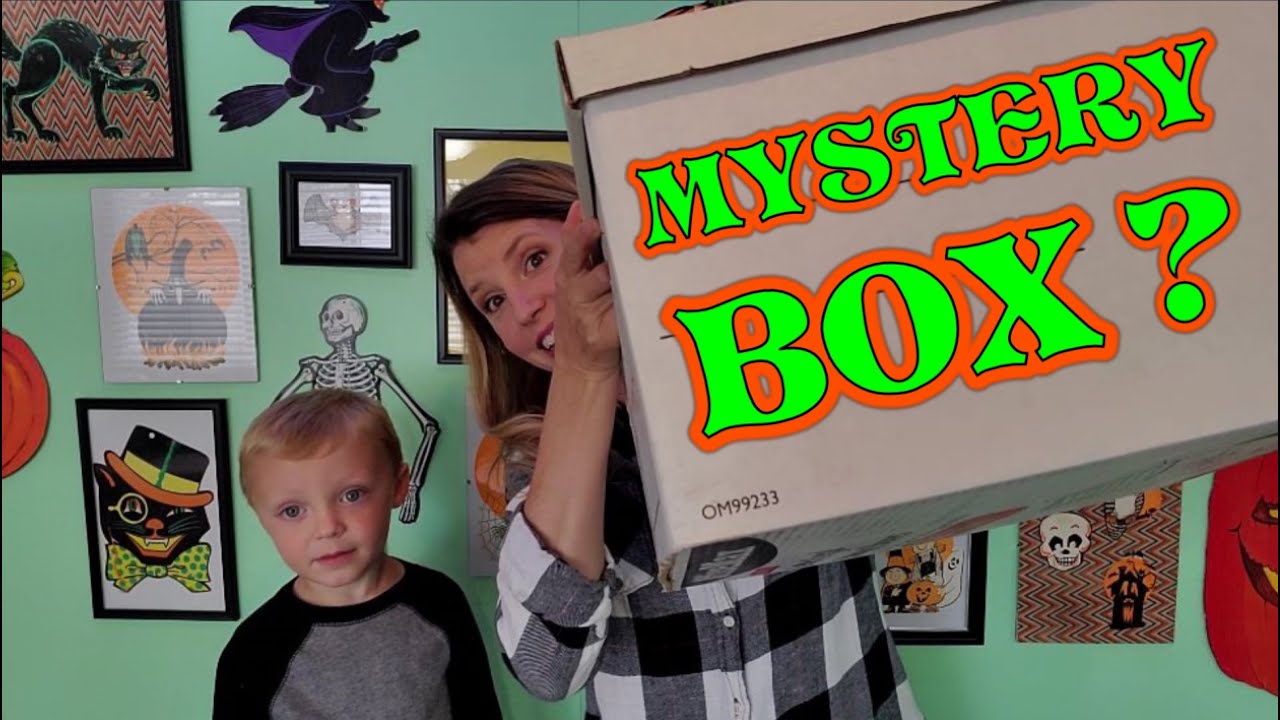 Cookie Cutters - Holiday Ideas To Do At Home - Unboxing $20 Mystery Box