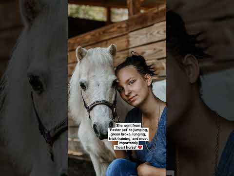 I love sparky more then words can explain ❤. #horse #equestrian #minihorse #equine #miniaturehorse.