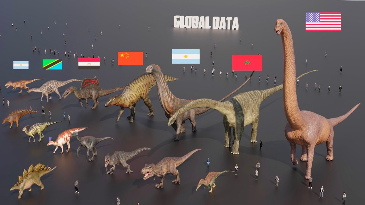 Dinosaur size comparison 3d | Found in Different Countries (60fps)