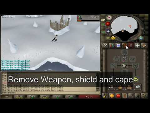 2 musical birds. Dig in front of the spinning light. (OSRS Master clue)