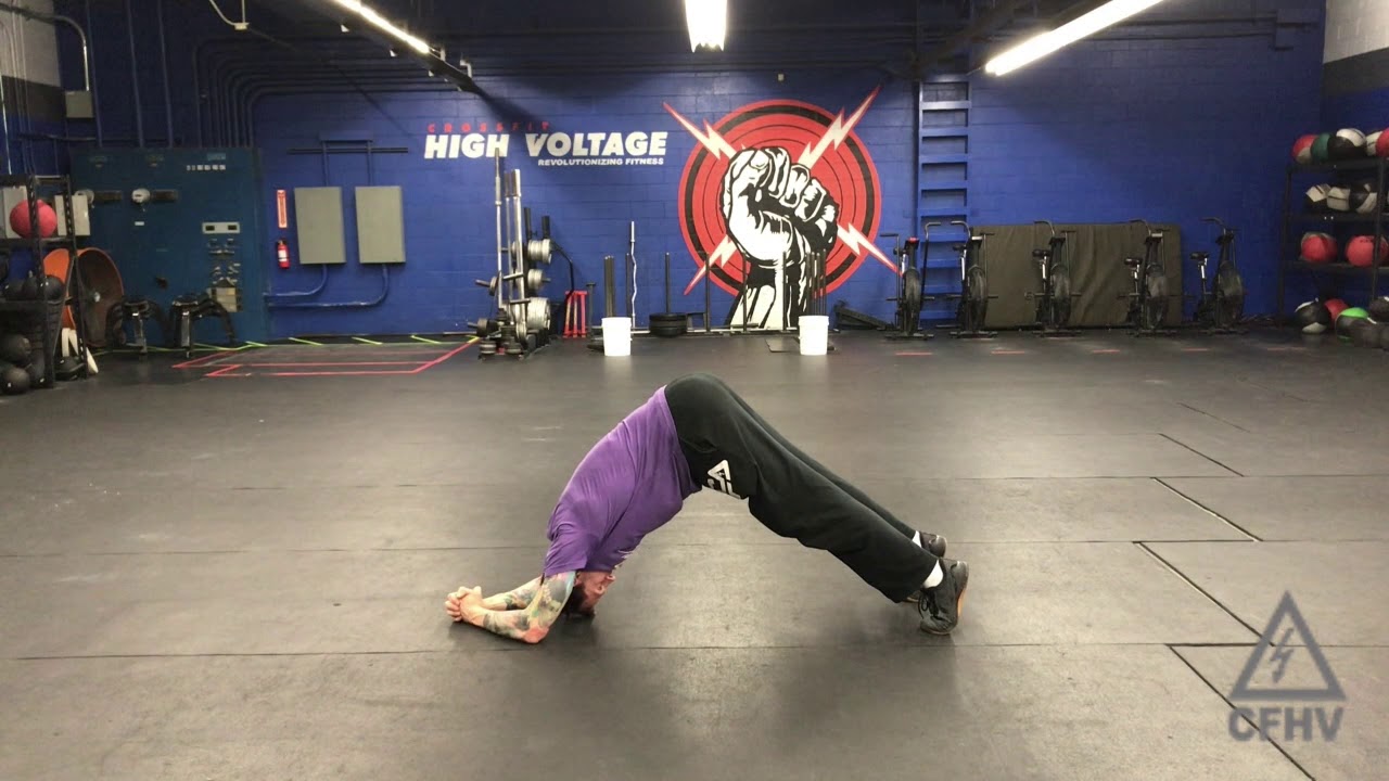 Dolphin Press : Push Up