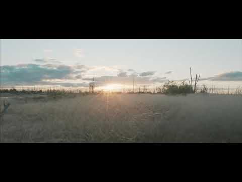 Bleo | Yallamundi Farm Company Profile