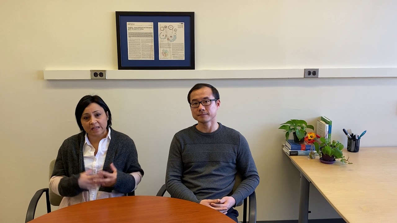 Friedman Brain Institute Research Scholar: Silvia De Rubeis, PhD and Zhuhao Wu, PhD