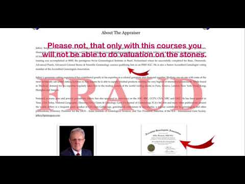 Jeffery Bergman, Fraudulent accreditations issued by the AGA Accredited Gemologists Association