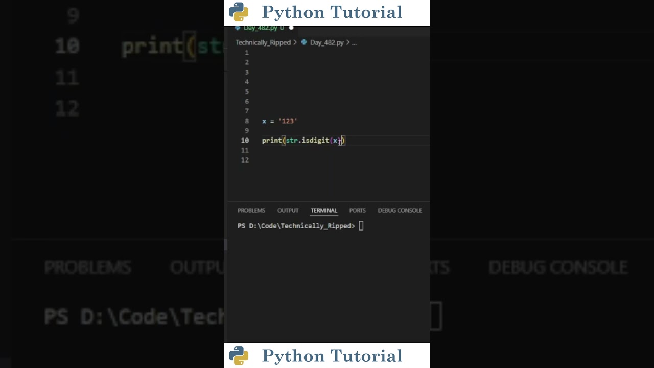 Checking If Python Strings Are Digits | Python Tutorial