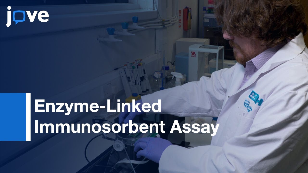 Electrowetting-Based Digital Microfluidics Platform l Protocol Preview