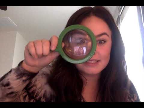 Detective Worksheet skills