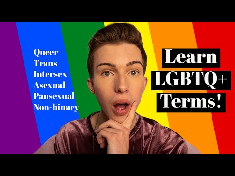 what does LGBTQ+ stand for? ( & terms everyone needs to know)