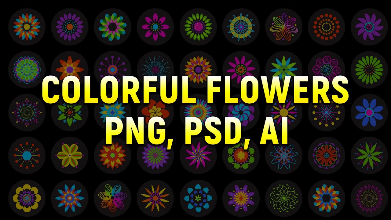 49 colorful flowers vector and PNG free download