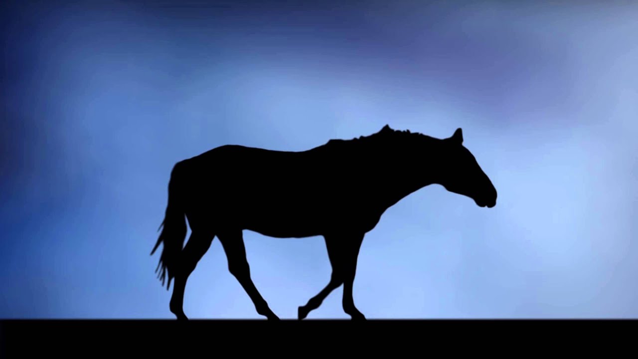 Horse Silhouette Walk Cycle