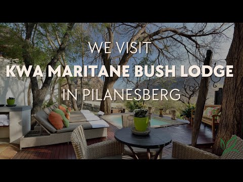 We Visit Kwa Maritane Bush Lodge in Pilanesberg National Park