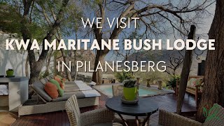 We Visit Kwa Maritane Bush Lodge in Pilanesberg National Park