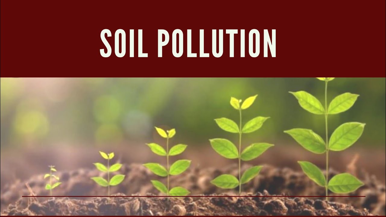 Soil pollution ( meaning, causes, effects and solutions)