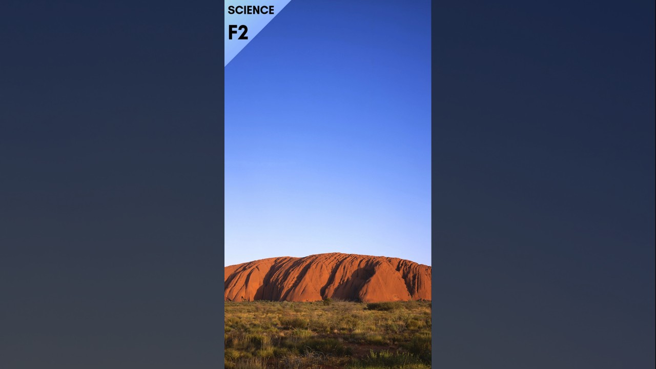 SCIENCE FORM 2 (1.1 BIODIVERSITY)