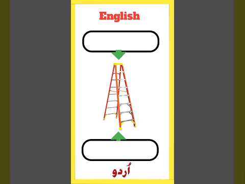 ladder name in English urdu #shorts
