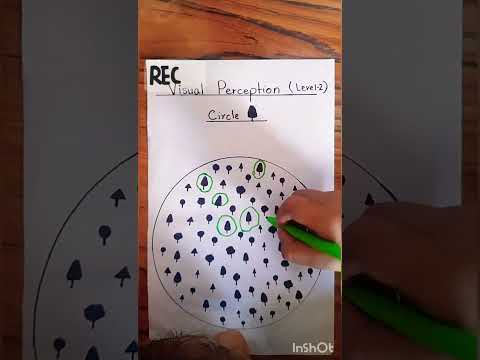 Visual perception worksheet (level 2)