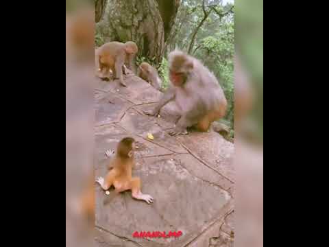 I Love you Mummy song statusππ | Whatsapp status video | whatsapp video status download