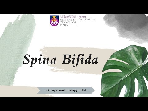 LESSON 7: SPINA BIFIDA