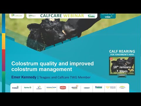 Colostrum quality and improved colostrum management