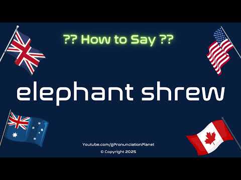 🐘 🐀 How to Pronounce elephant shrew? (CORRECTLY) | Pronunciation Planet