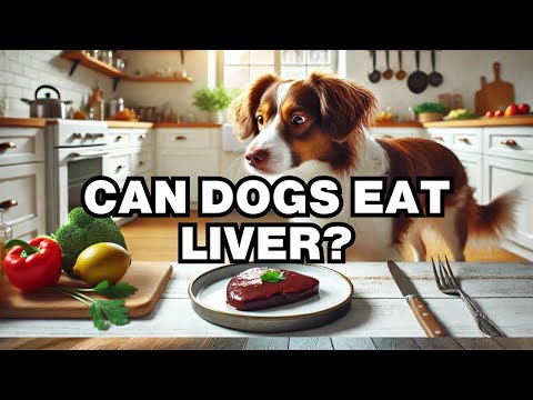Can Dogs Eat Liver? Explained