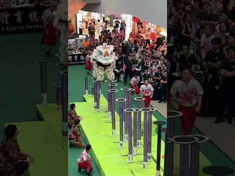 Singapore Shui Lian Gong Dragon & Lion Dance Troupe 首届利达广场新马南狮高桩锦标赛