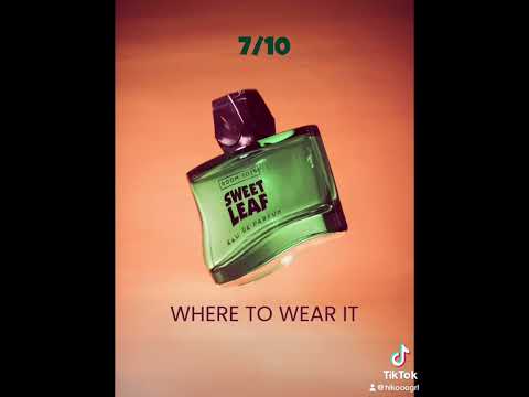 Niche Fragrance Review of SWEET LEAF by ROOM 1015