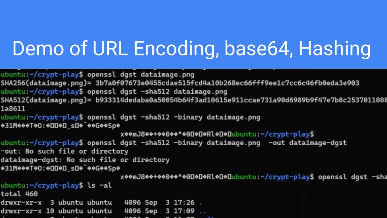 Demonstration of URL Encoding, Base64 and Hashing