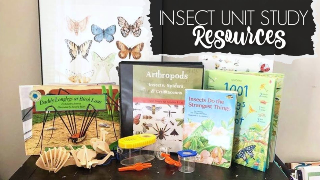 INSECT UNIT STUDY RESOURCES | THE GOOD AND THE BEAUTIFUL ARTHROPODS