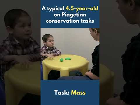 Piagetian Conversation Task. (Mass)